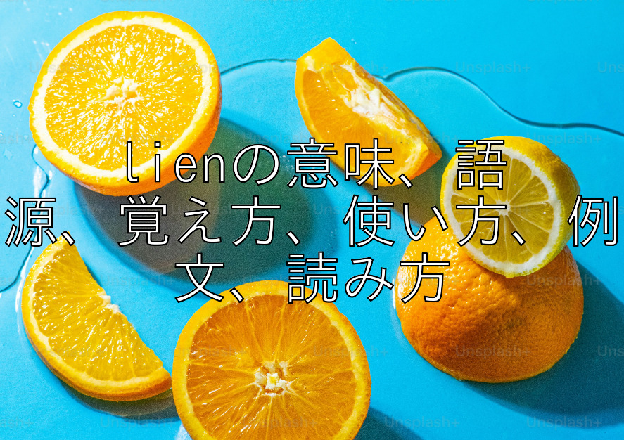 "lien"の意味、語源、覚え方、使い方、例文、読み方 | ハウツー